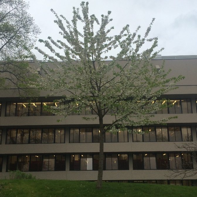 Learning and living at Leeds - QUT Gone Global