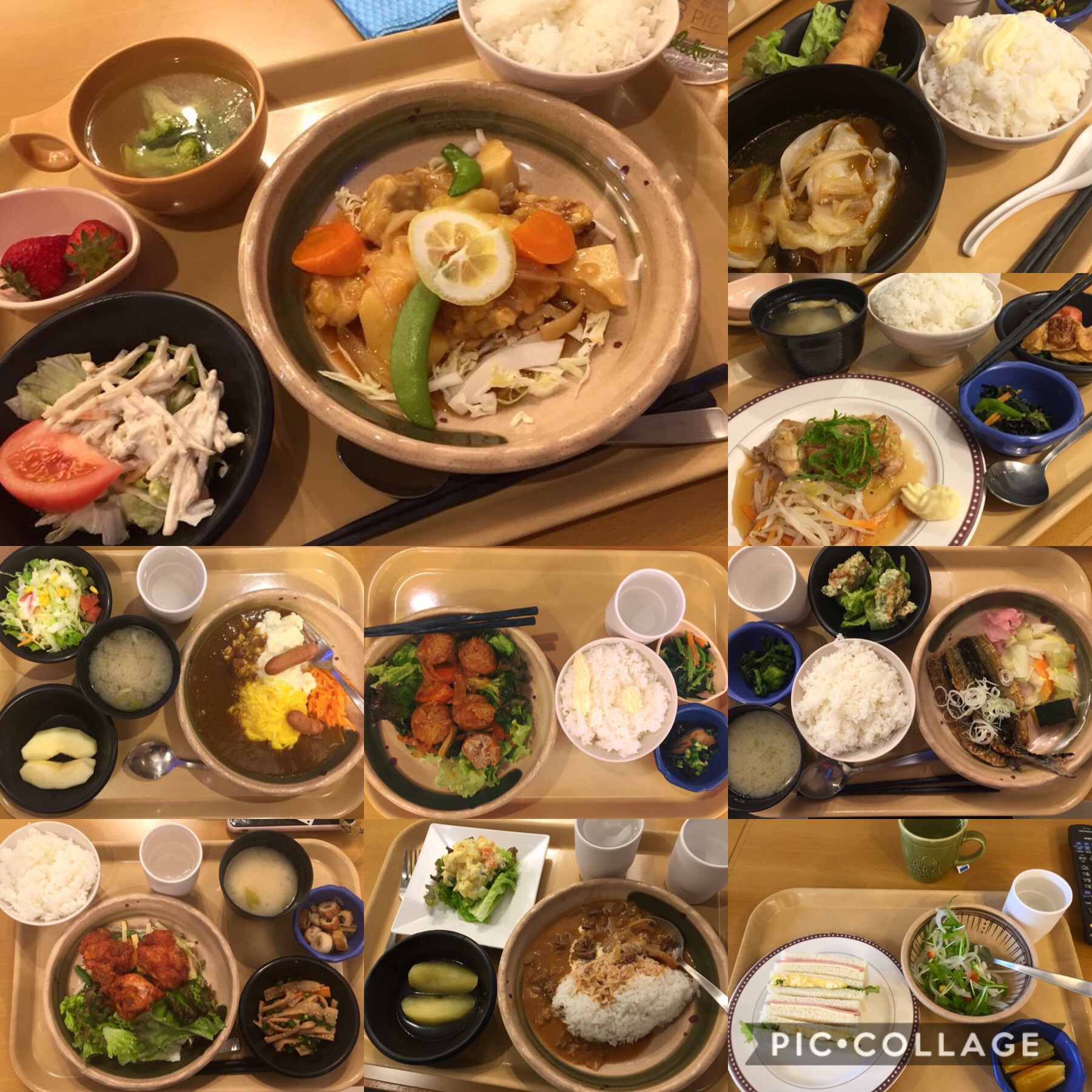 Day in the Life of a Japanese University Student (Rikkyo) - QUT Gone Global